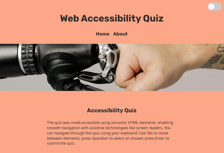 Cathrine Olsson – Portfolio